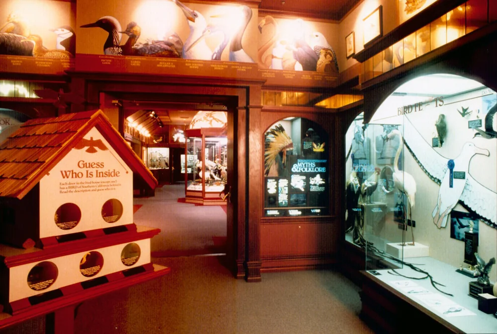 natural history museum, custom modern exhibition & research space ...