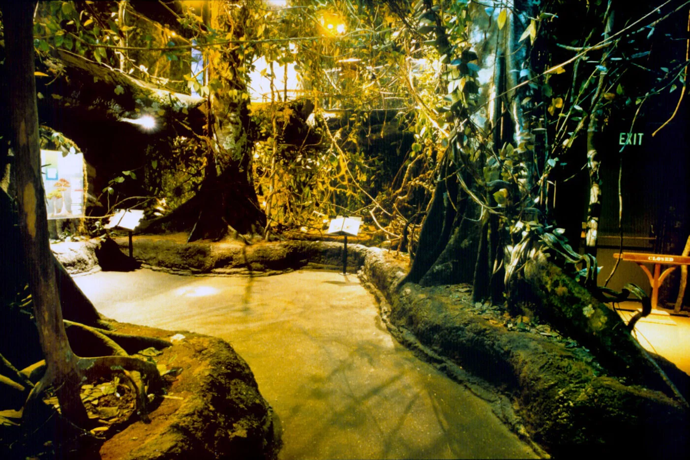 natural history museum, custom modern exhibition & research space ...