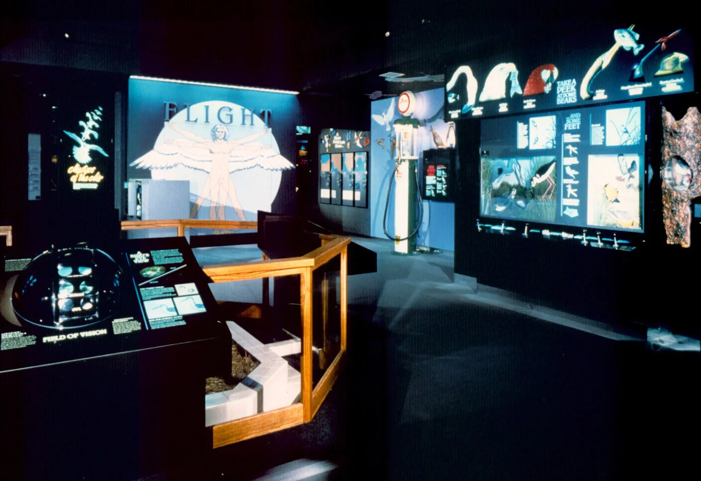 natural history museum, custom modern exhibition & research space ...
