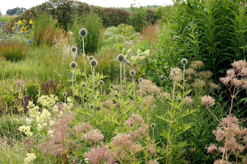 piet oudolf gardens modern design blog | whipple russell architects