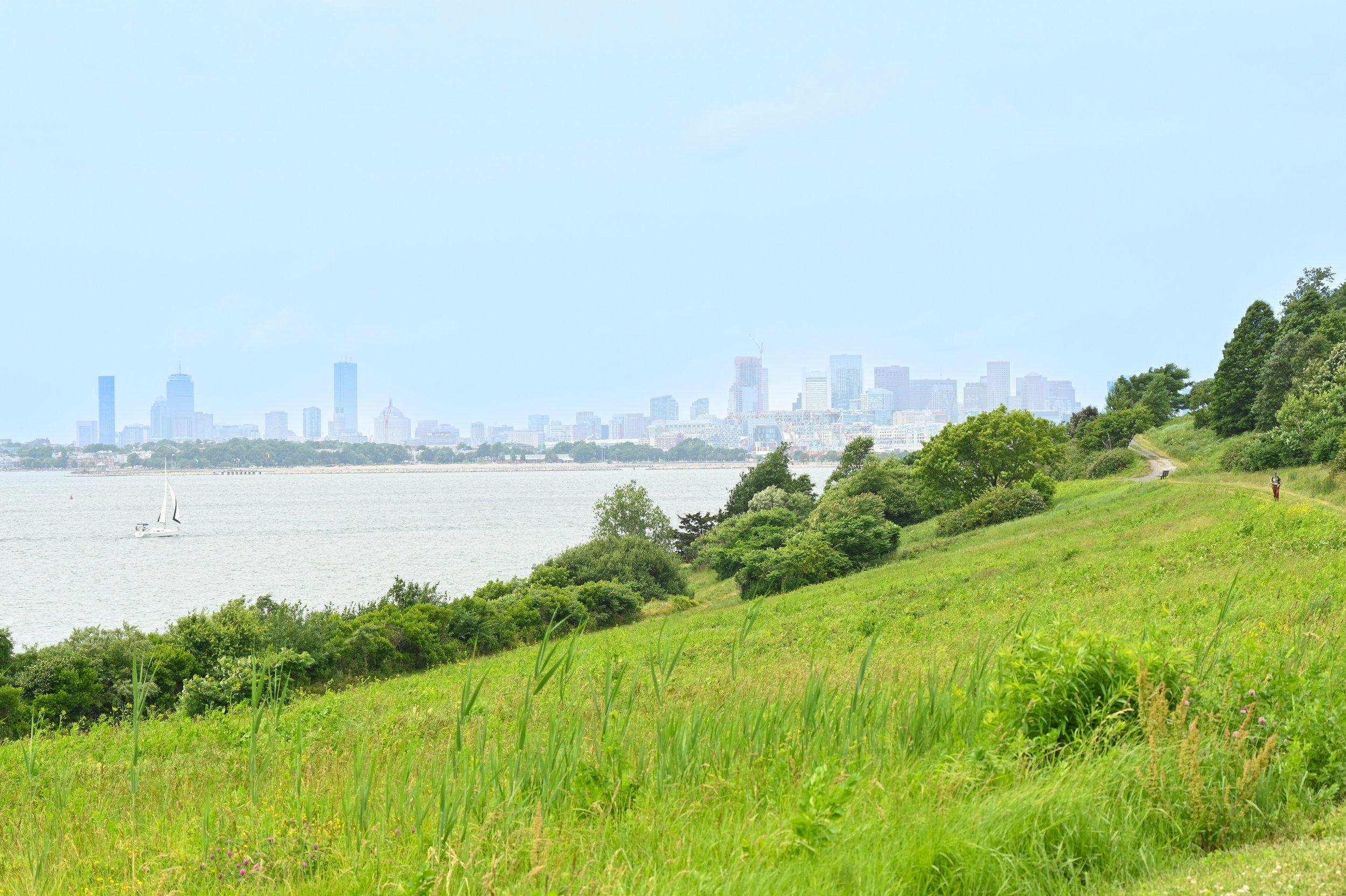 Plan a Public Beach Event — Save The Harbor