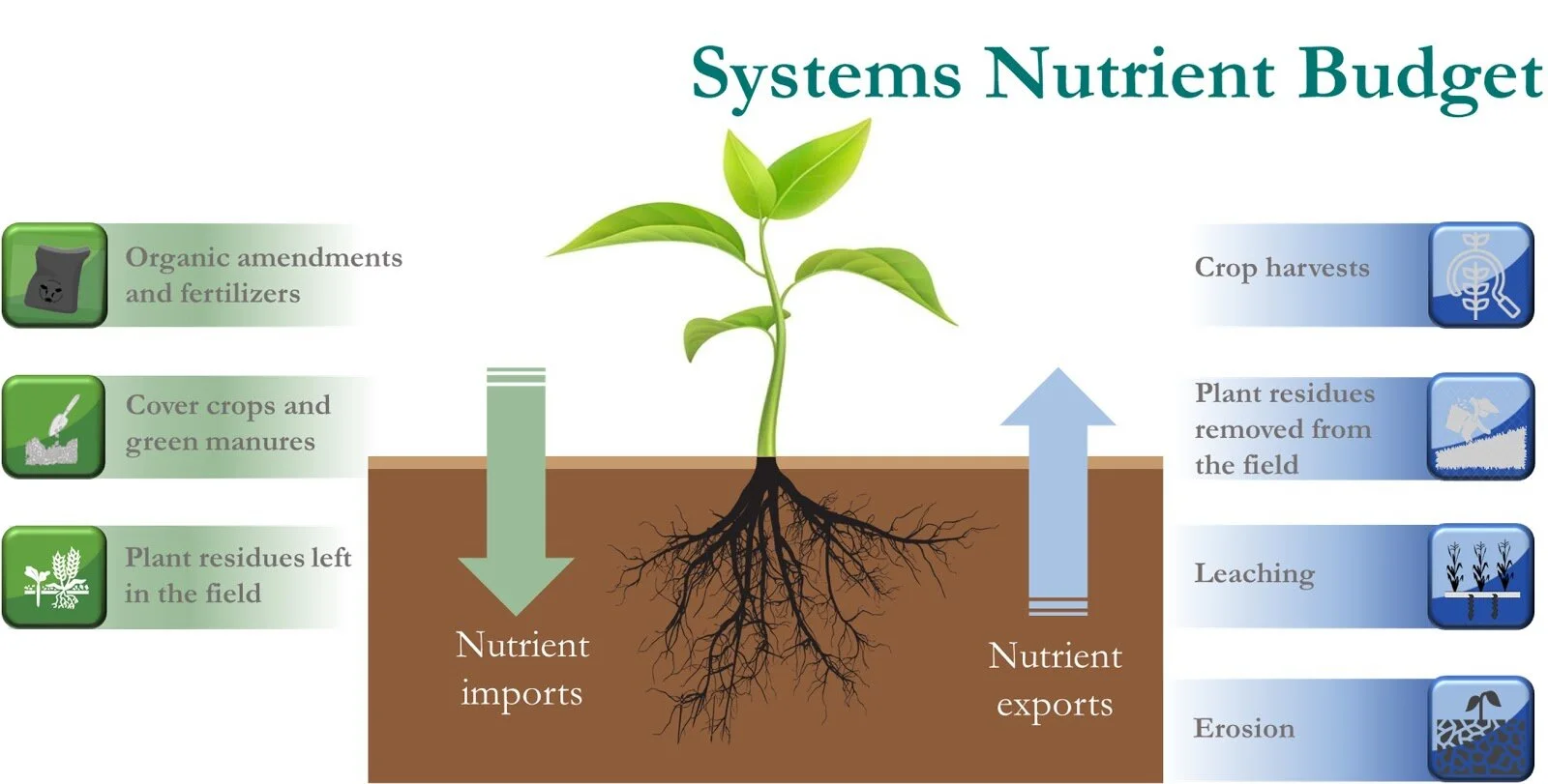 7 Steps to Preparing a Systems Nutrient Budget For Your Diversified ...