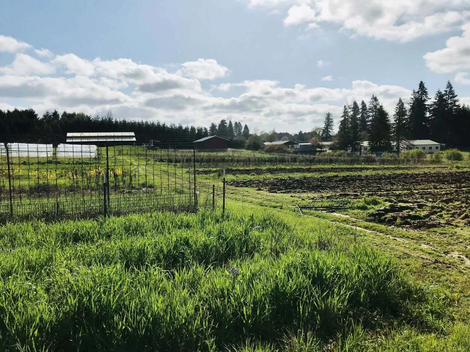 3 Steps to Improving Your Crop or Livestock Rotations and Building Soil ...