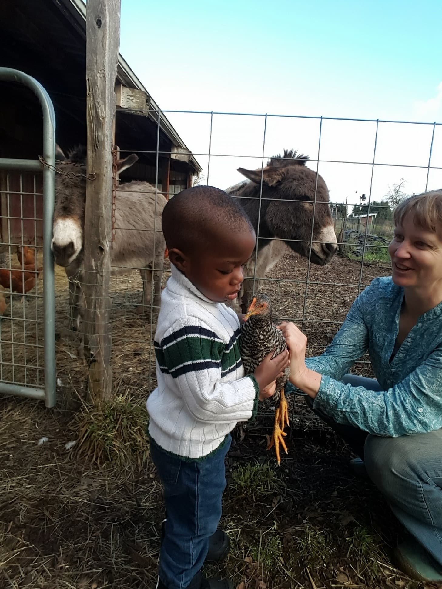 Support Farm to Heart | Food Justice Initiative — April Joy Certified ...