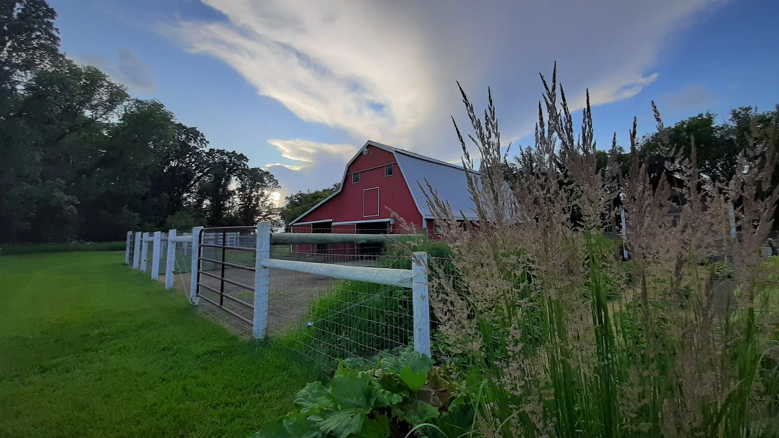 About Us — Hundredfold Farm