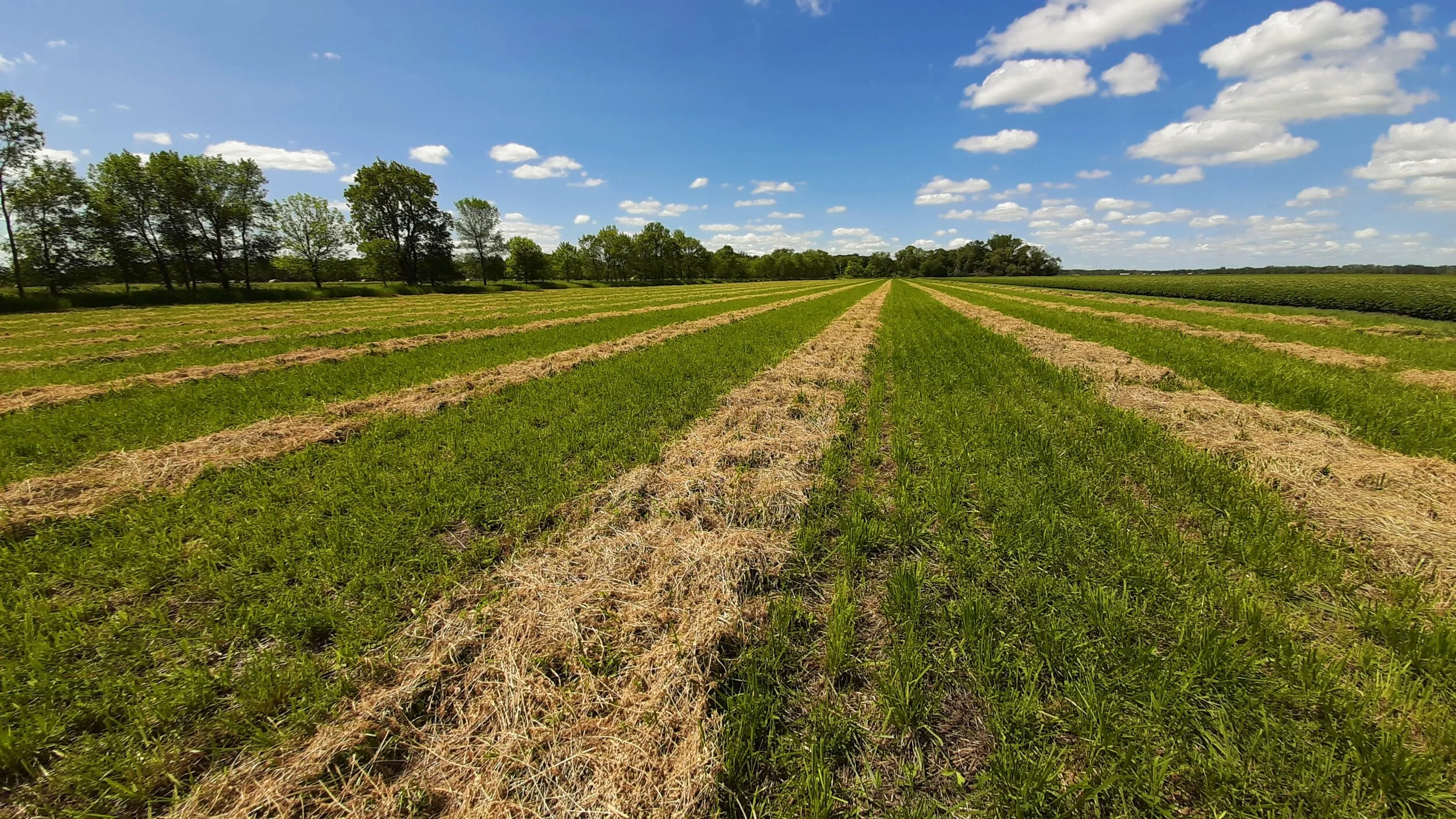 About Us — Hundredfold Farm