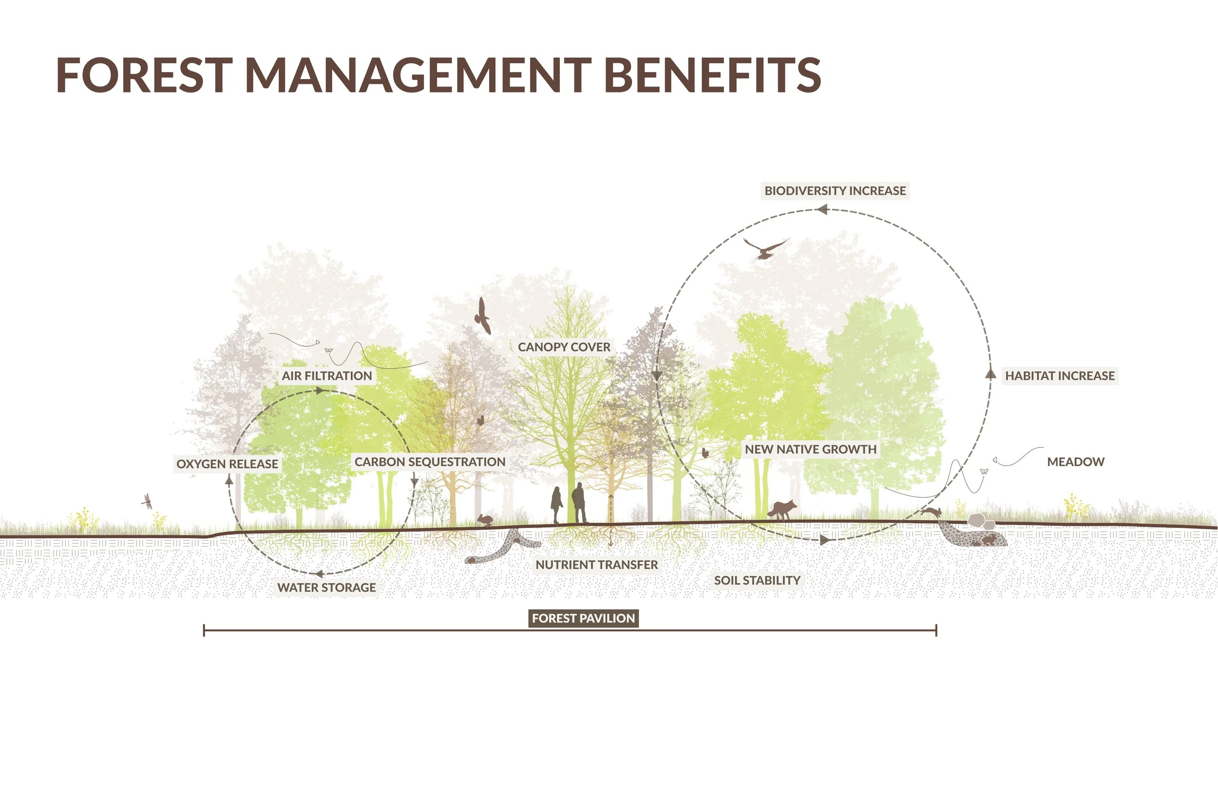 A Forest Stewardship Pavilion — ASSEMBLAGE LANDSCAPE ARCHITECTURE