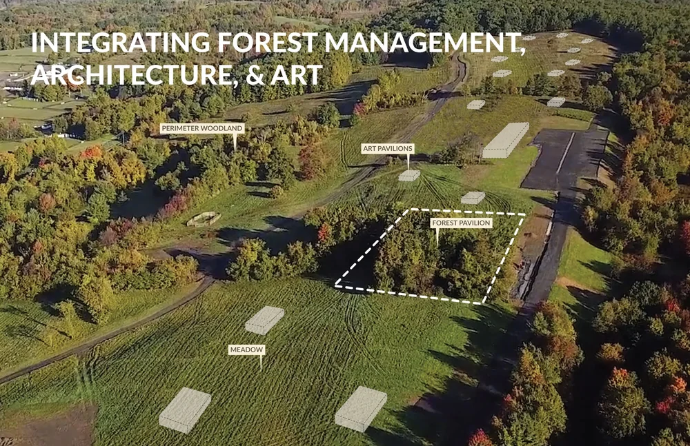 A Forest Stewardship Pavilion — ASSEMBLAGE LANDSCAPE ARCHITECTURE