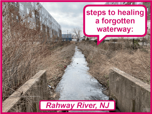 Restoring a Forgotten Waterway — ASSEMBLAGE LANDSCAPE ARCHITECTURE