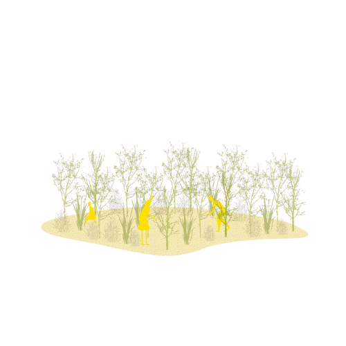Micro-Forests — ASSEMBLAGE LANDSCAPE ARCHITECTURE