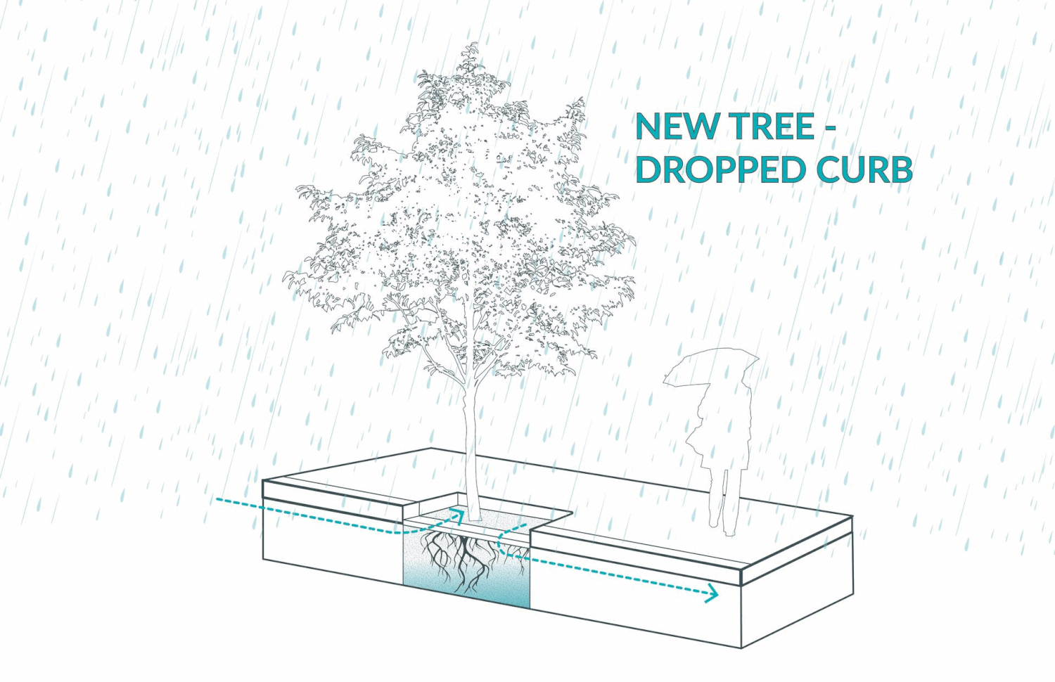 Thirsty Street Trees: Slow Down Stormwater — ASSEMBLAGE LANDSCAPE ...