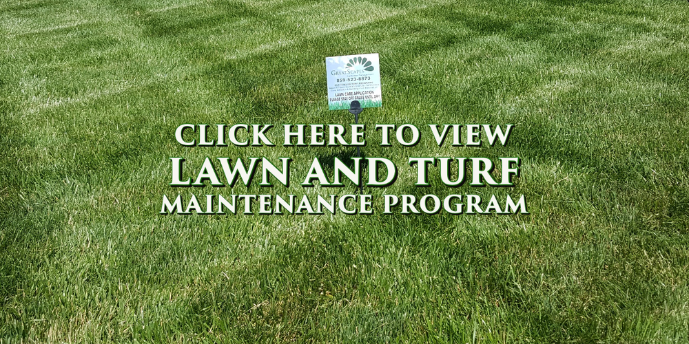 Great Scapes Landscape Management