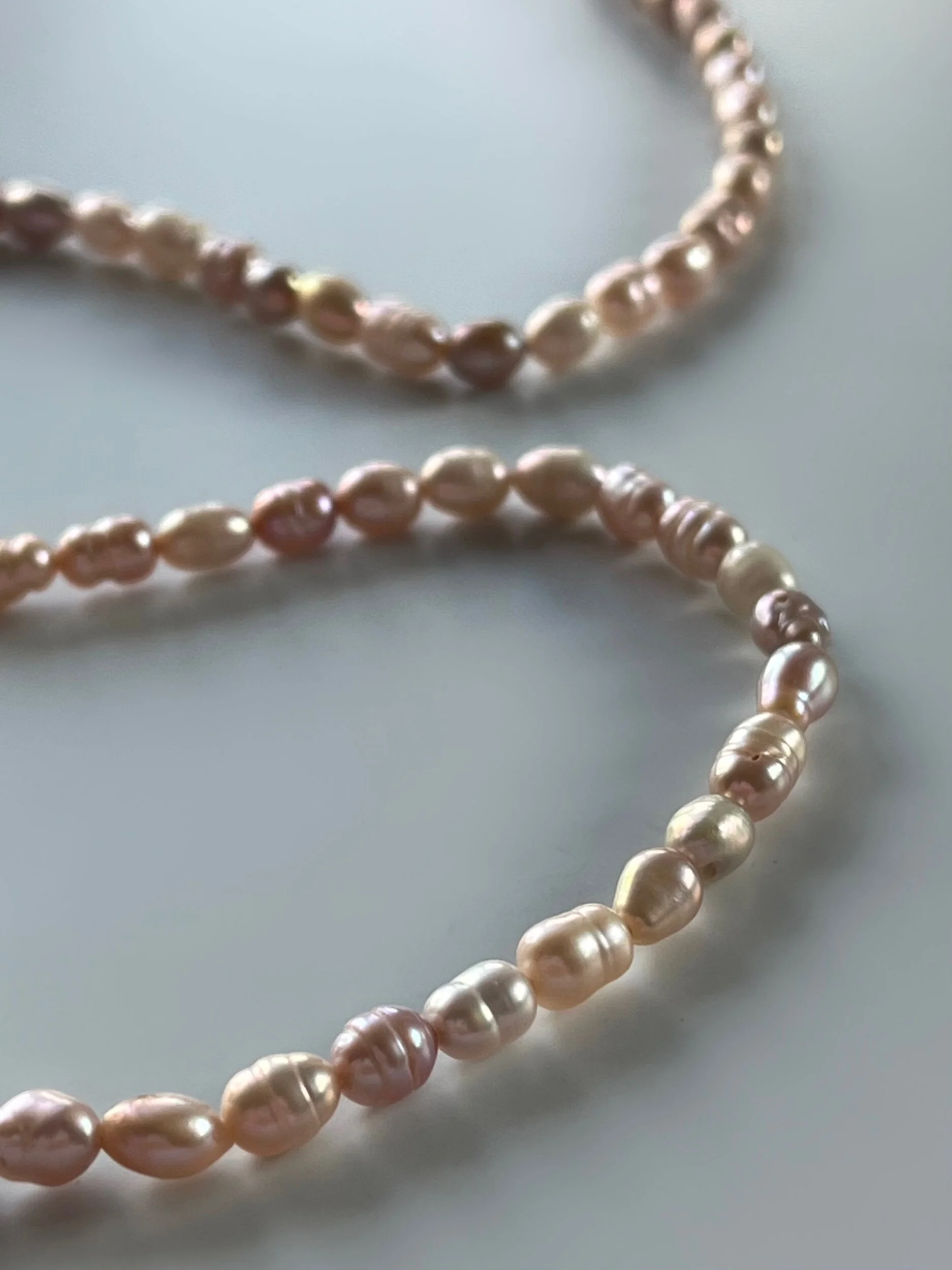 Shop — Calypso Studios