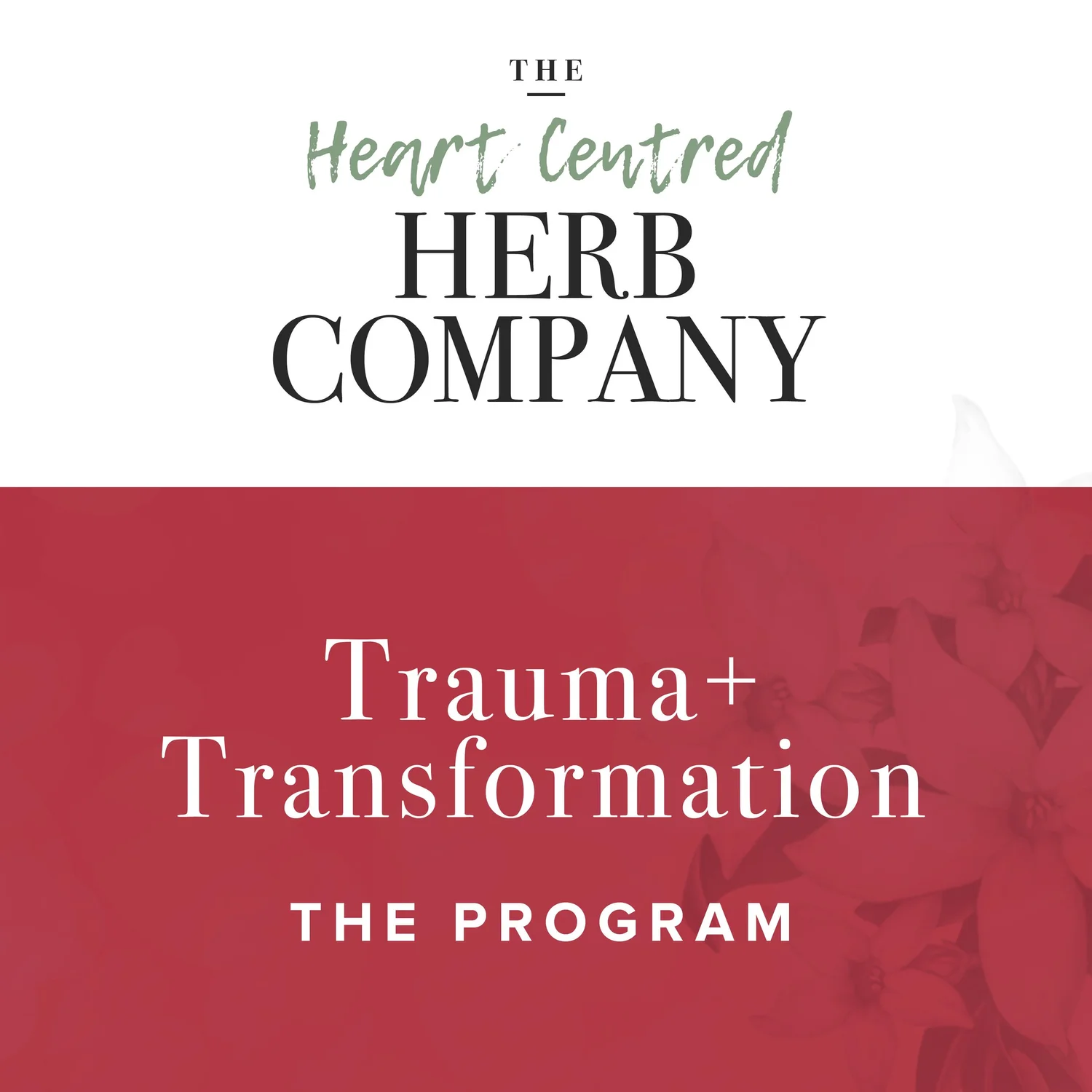 Trauma + Transformation Tea — The Heart Centred Herb Company