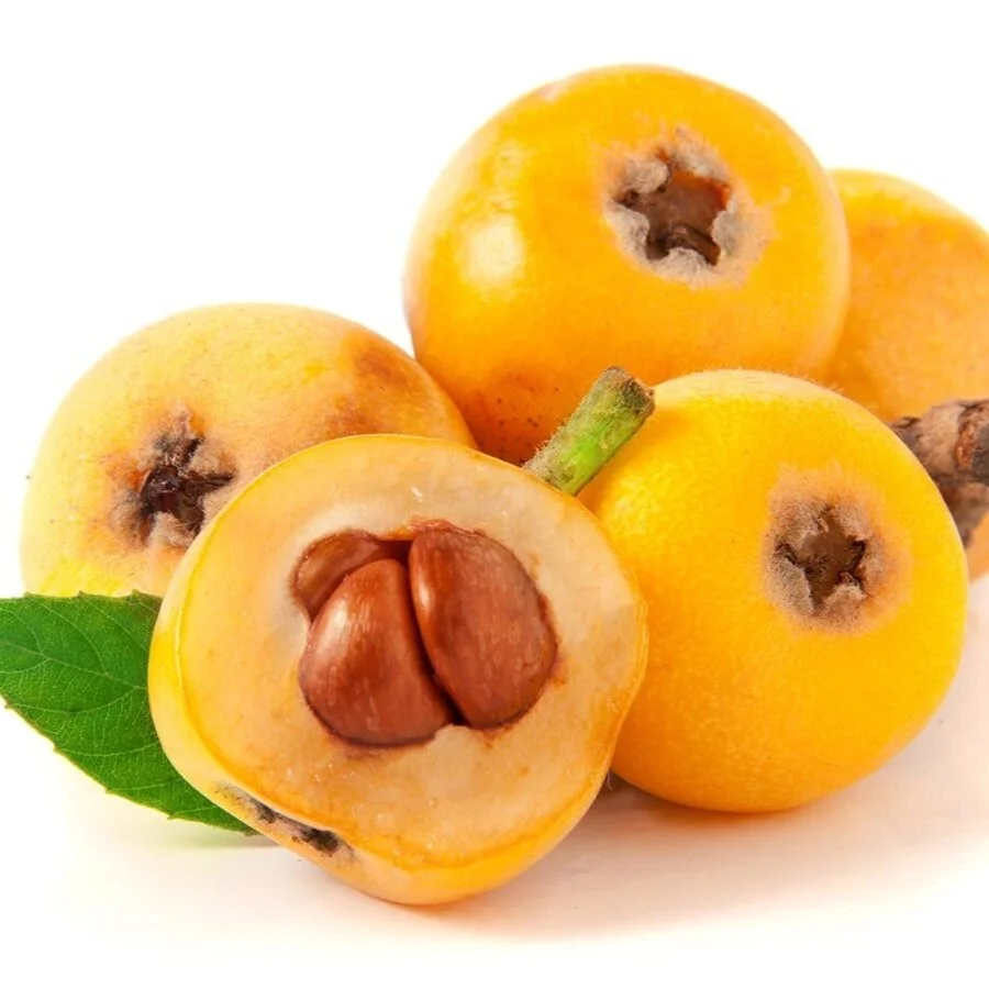 Pomefruit — Catalogue — Perrys Fruit & Nut Nursery