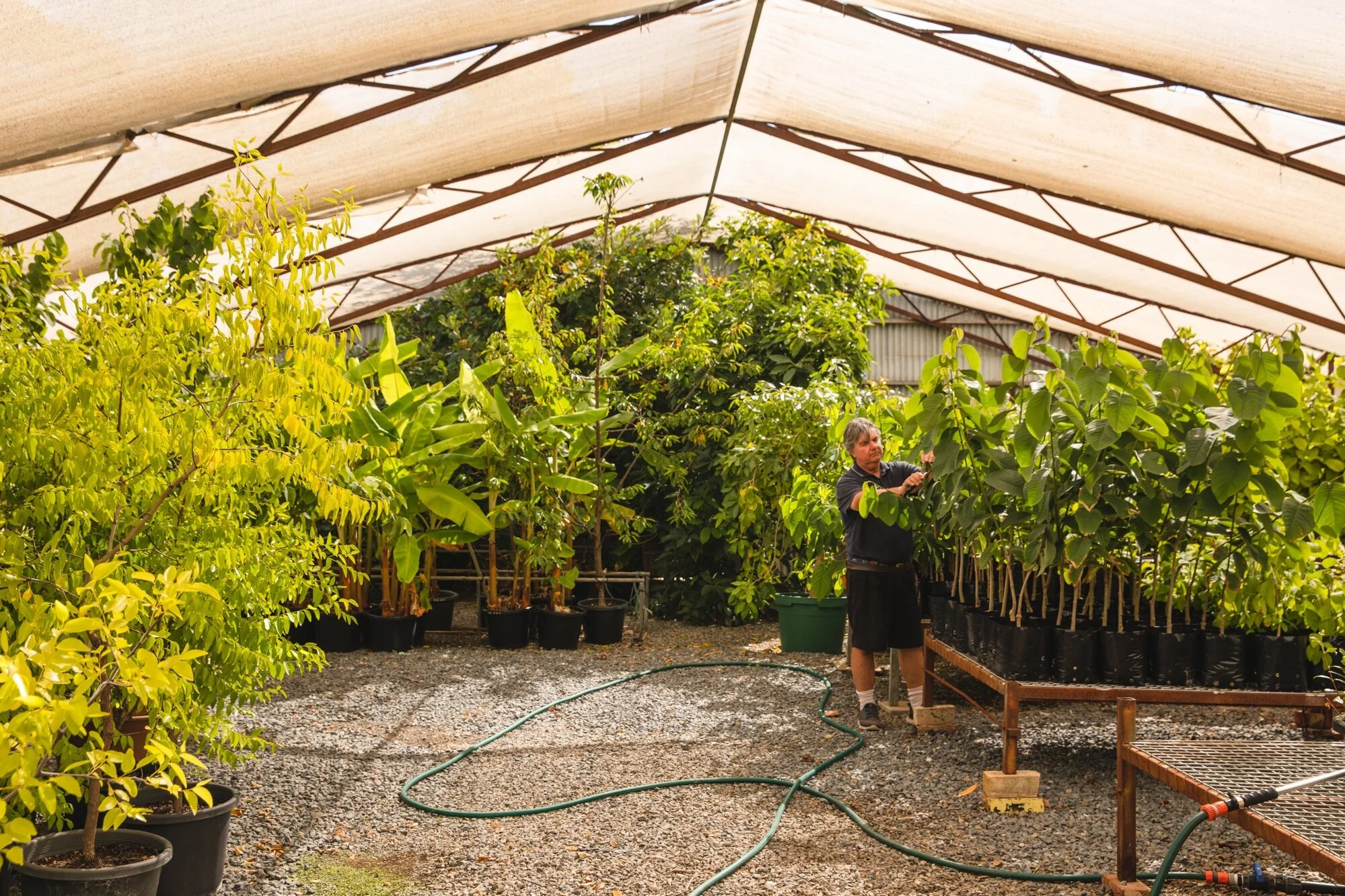 About Us — Perrys Fruit & Nut Nursery