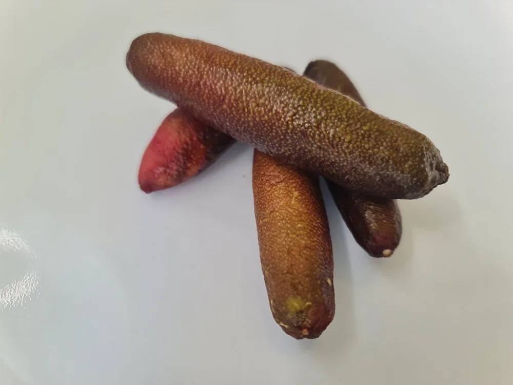 Catalogue — Perrys Fruit & Nut Nursery