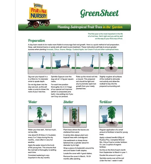 Gallery 1 — Perrys Fruit & Nut Nursery