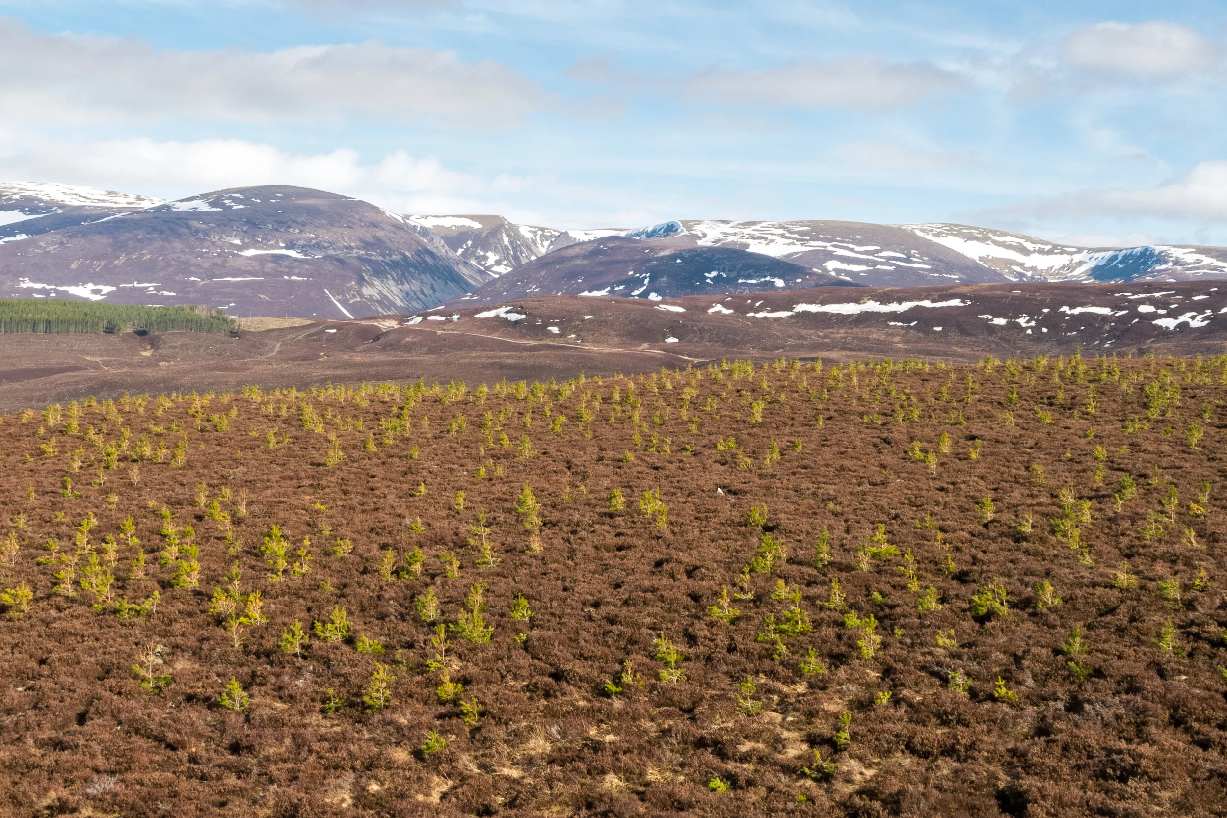 Notebook — Wildland | Scotland