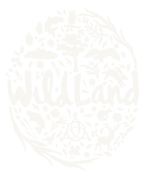 About — Wildland | Scotland