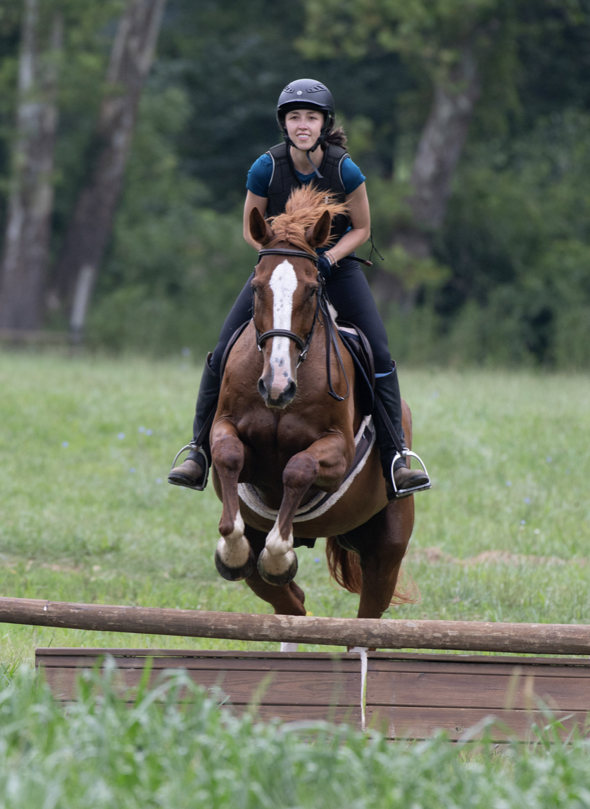 VRSVA Equestrian Team — Veterinary Rehabilitation Services of Virginia