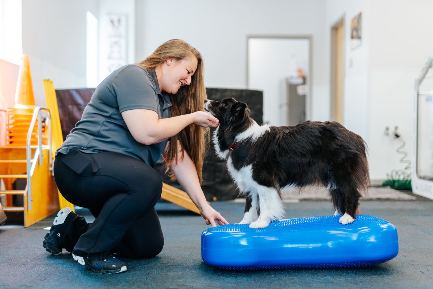 Small Animal — Veterinary Rehabilitation Services of Virginia