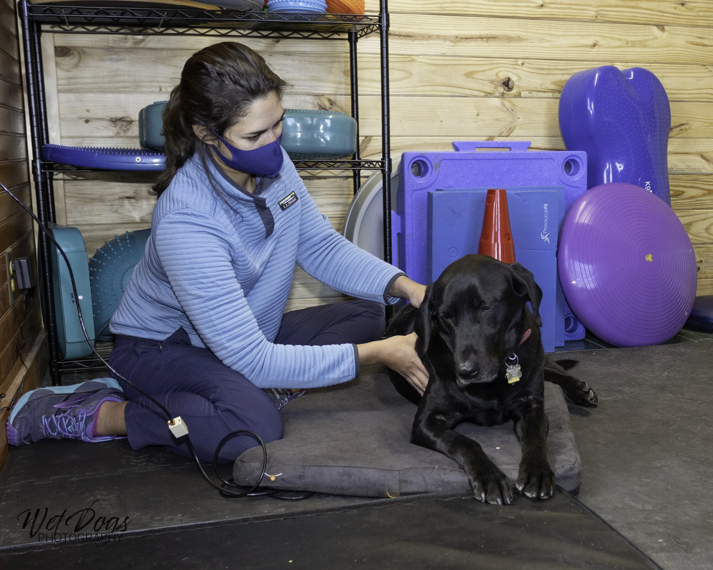 Veterinary Rehabilitation Services of Virginia