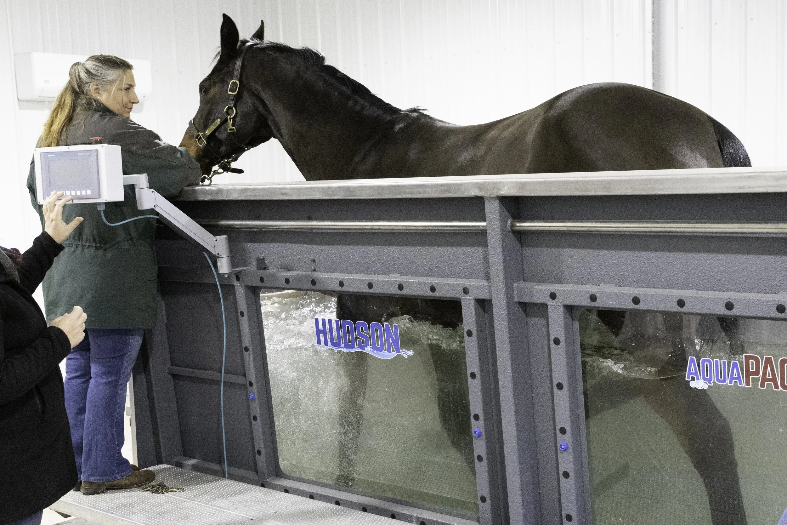 Veterinary Rehabilitation Services of Virginia