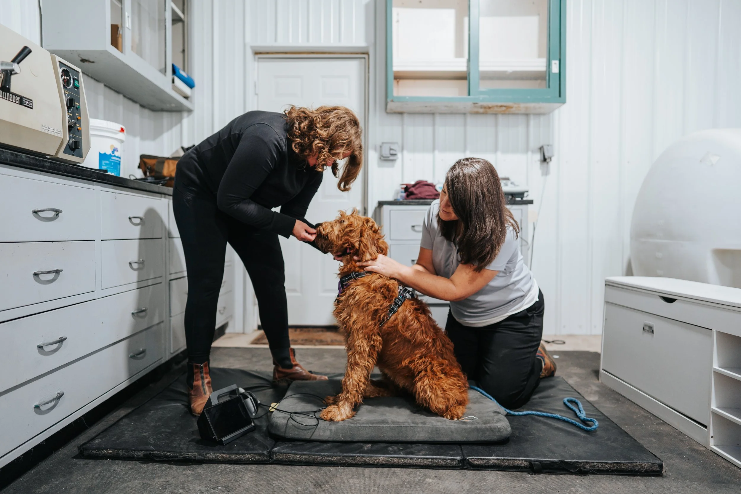 Veterinary Rehabilitation Services of Virginia