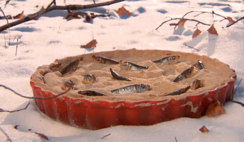 Stargazy Pie — NSC