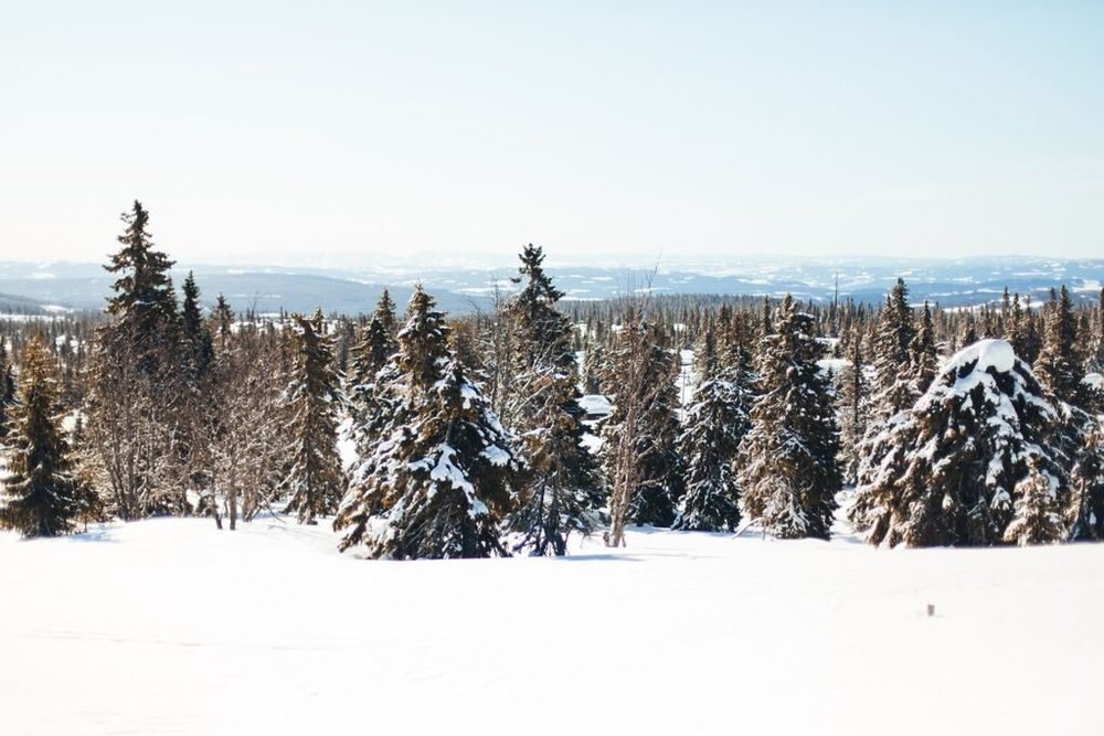 Top 5 ski destinations in Norway — NSC
