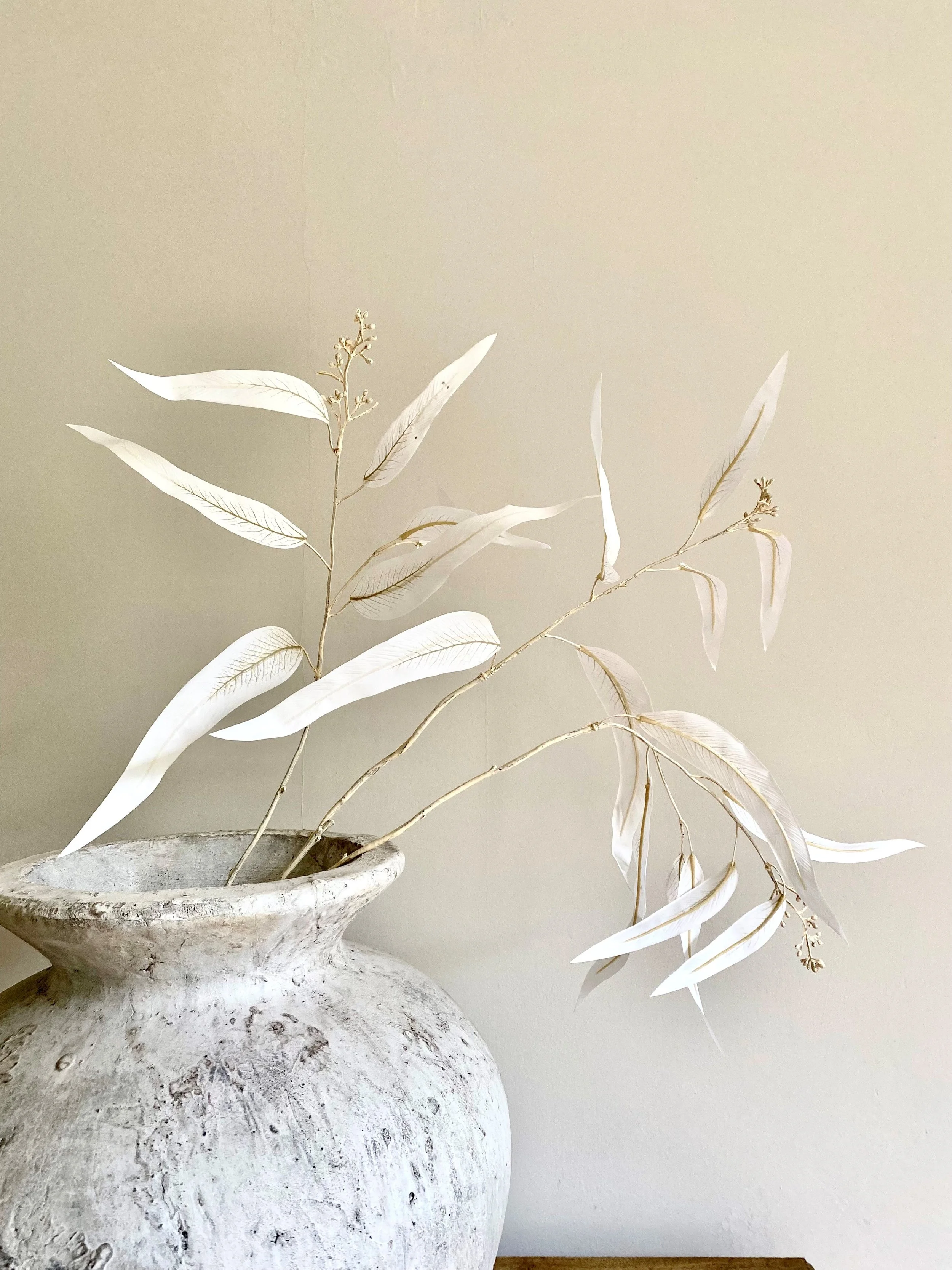 Variegated Eucalyptus — Island Home Interiors