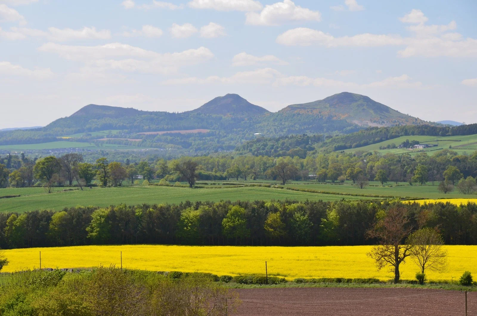 What is a hillfort? — AOC Archaeology Group