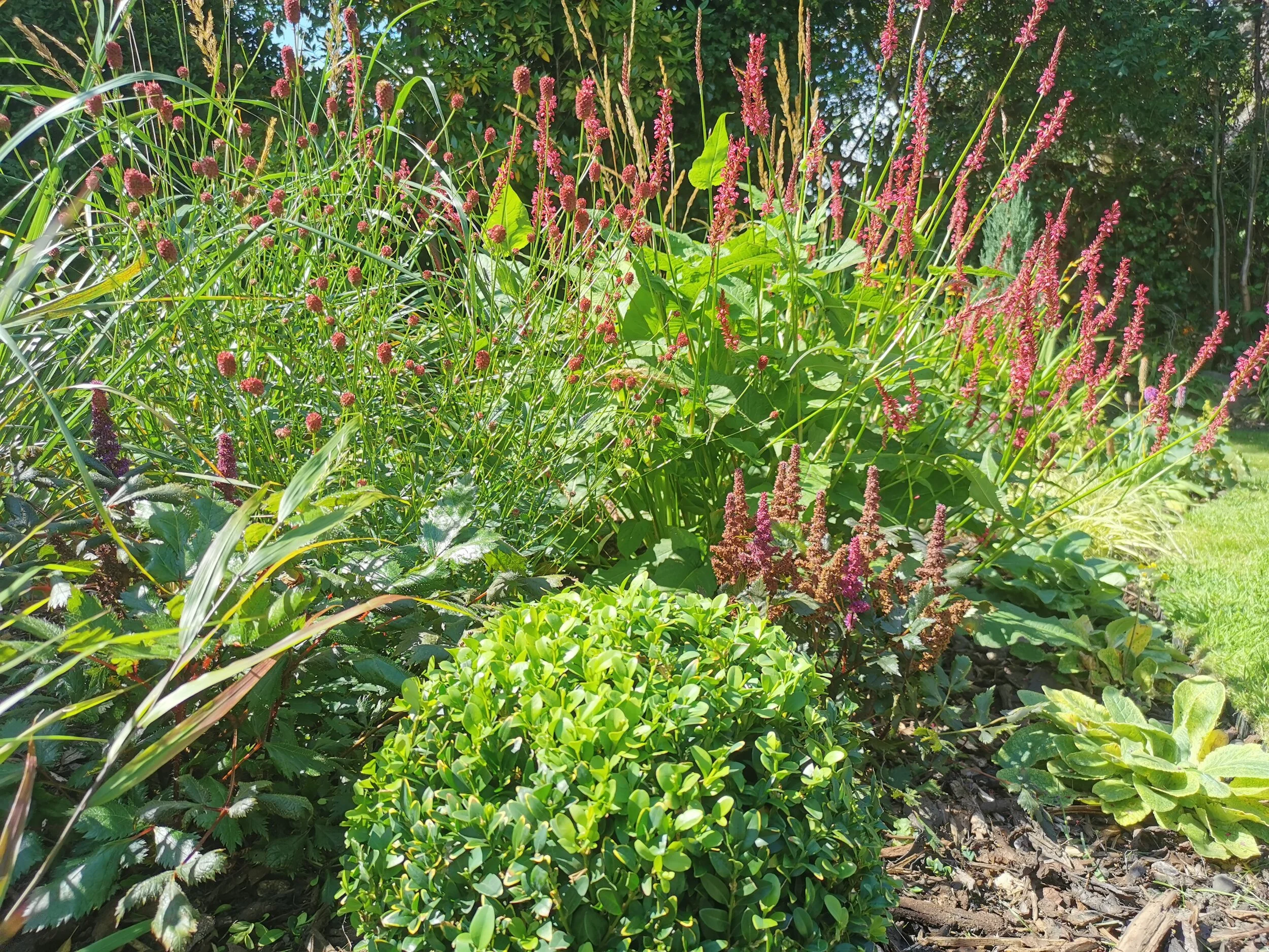 About 1 — Luke Arend Garden Design