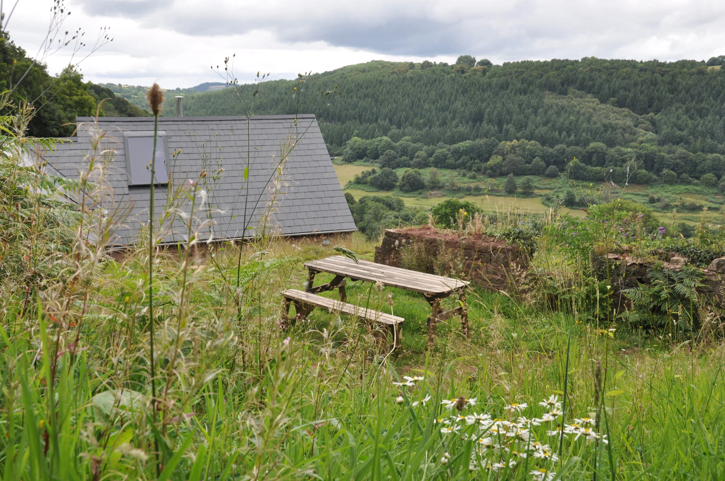 General 6 — Donkey Shed