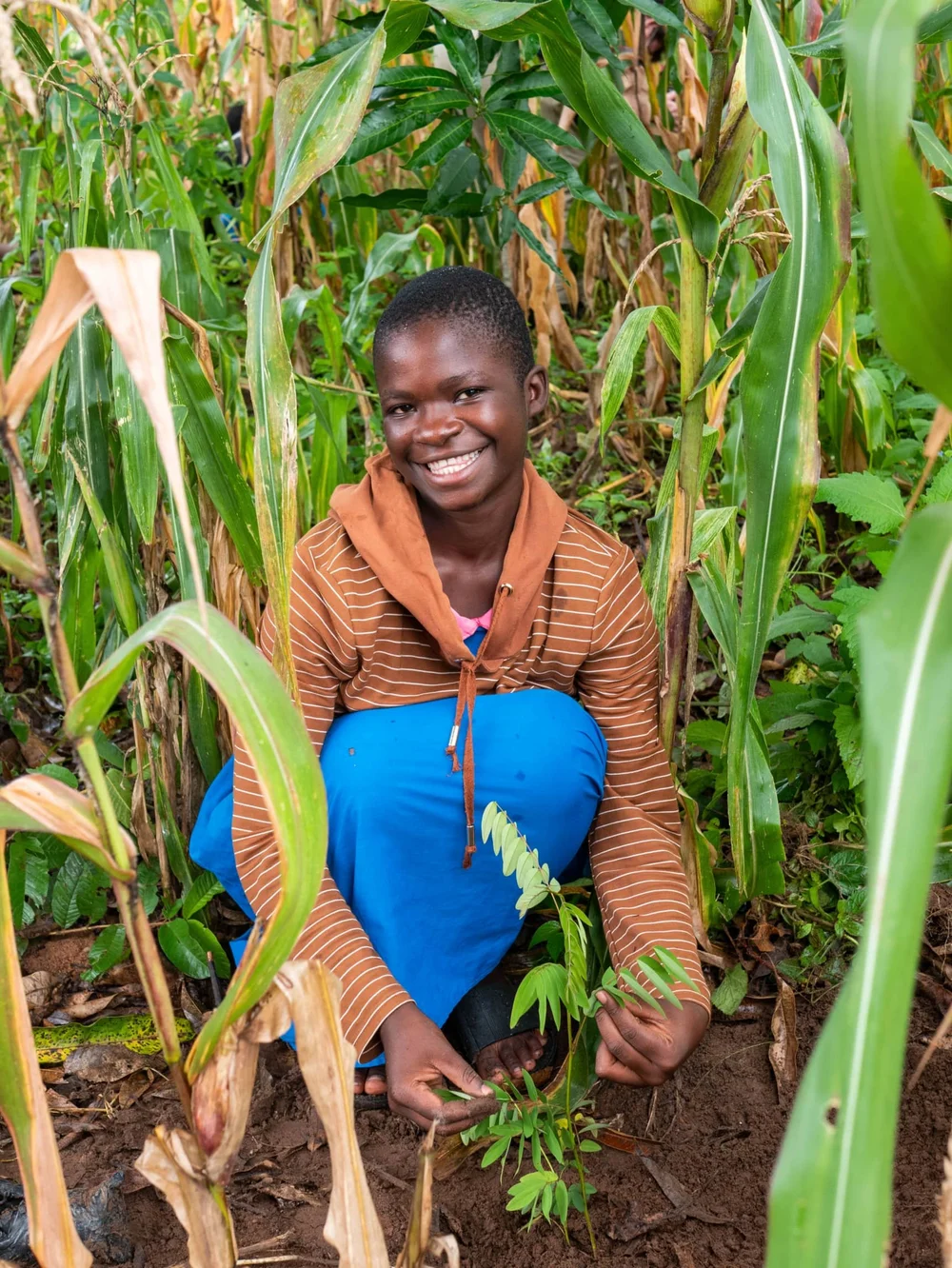 Tree Planting — Mbedza Malawi | For The Prevention And Relief Of ...