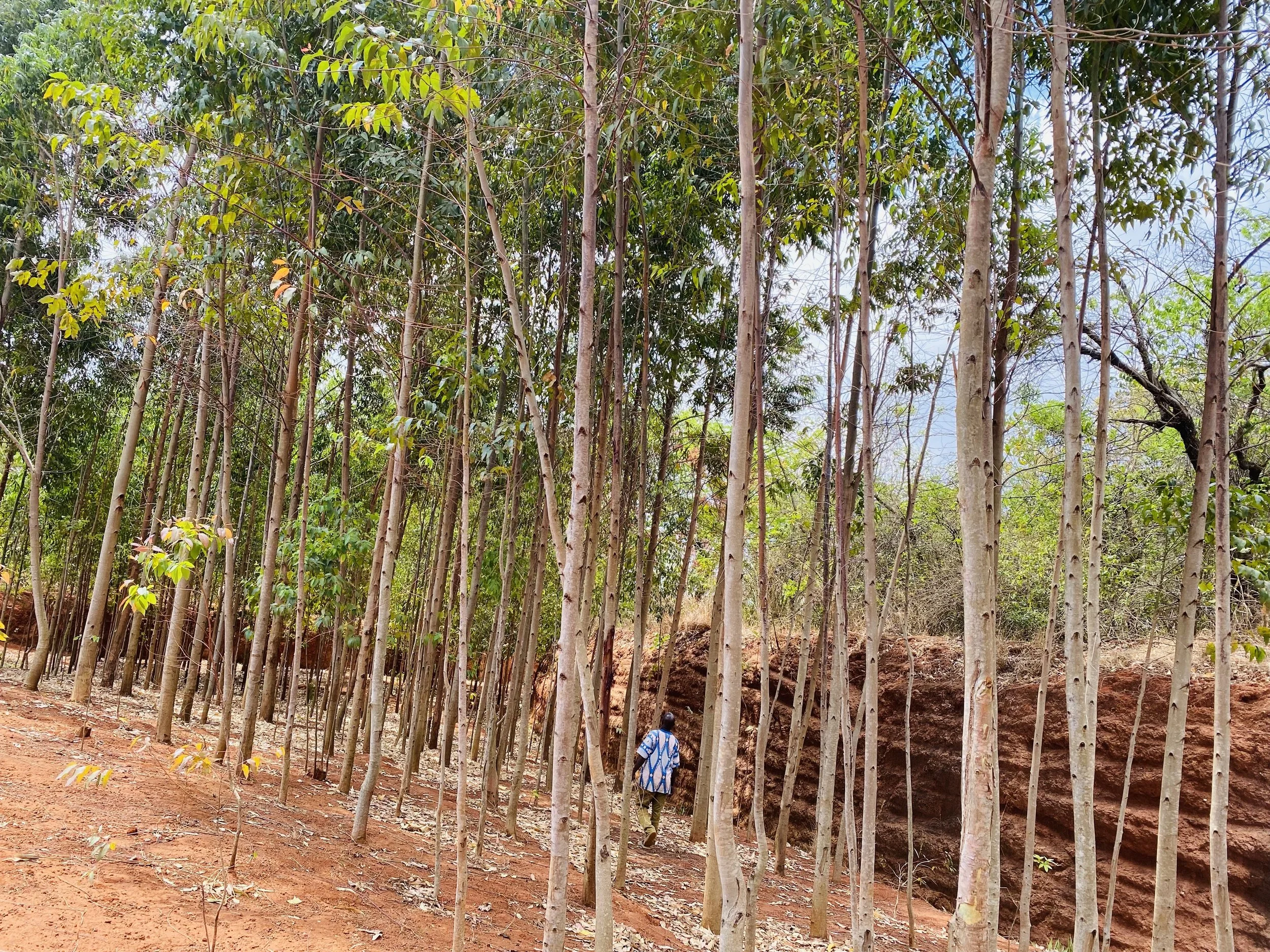 The challenge of Climate Change — Mbedza Malawi | For The Prevention ...