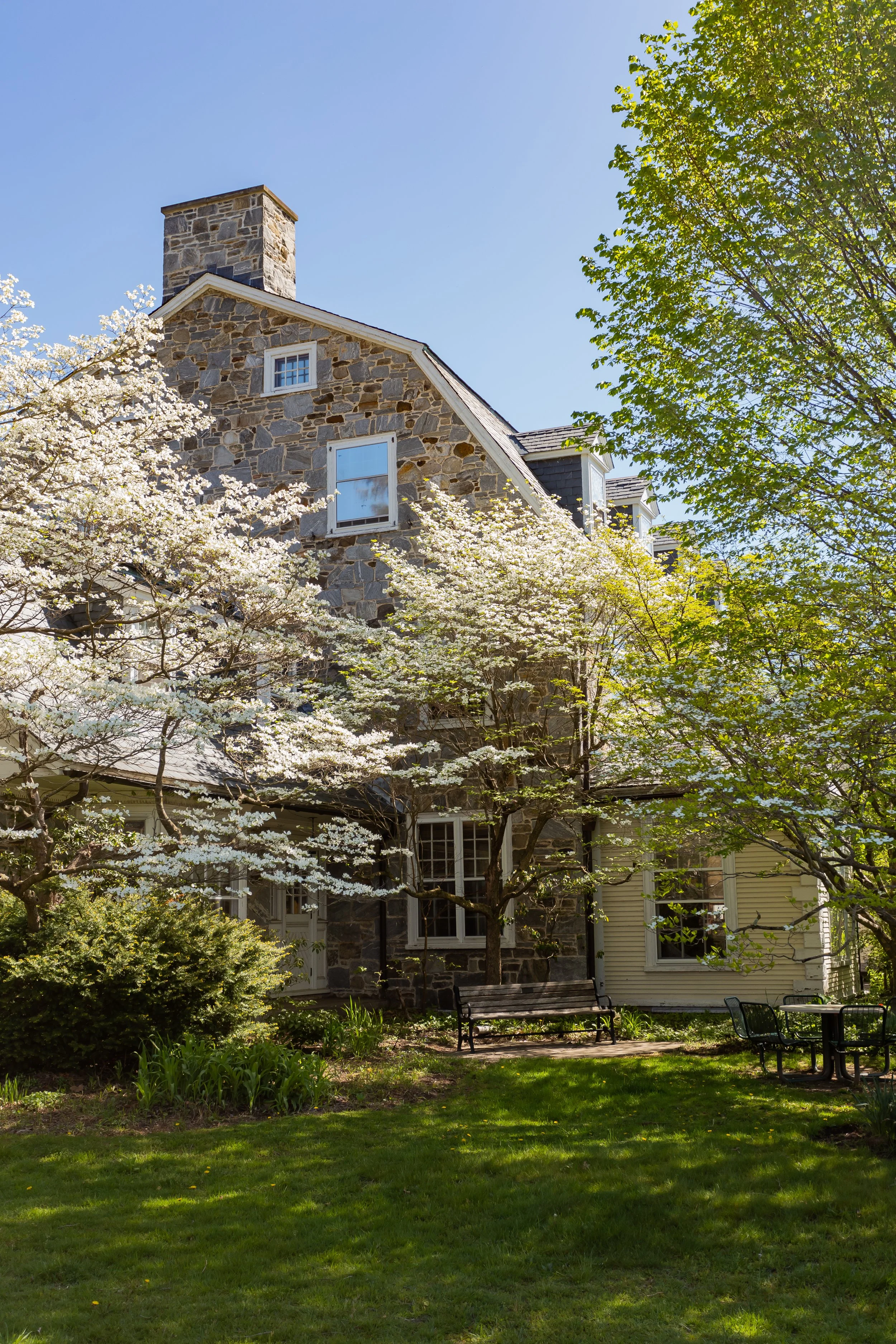 Jones Library — Amherst Business Improvement District
