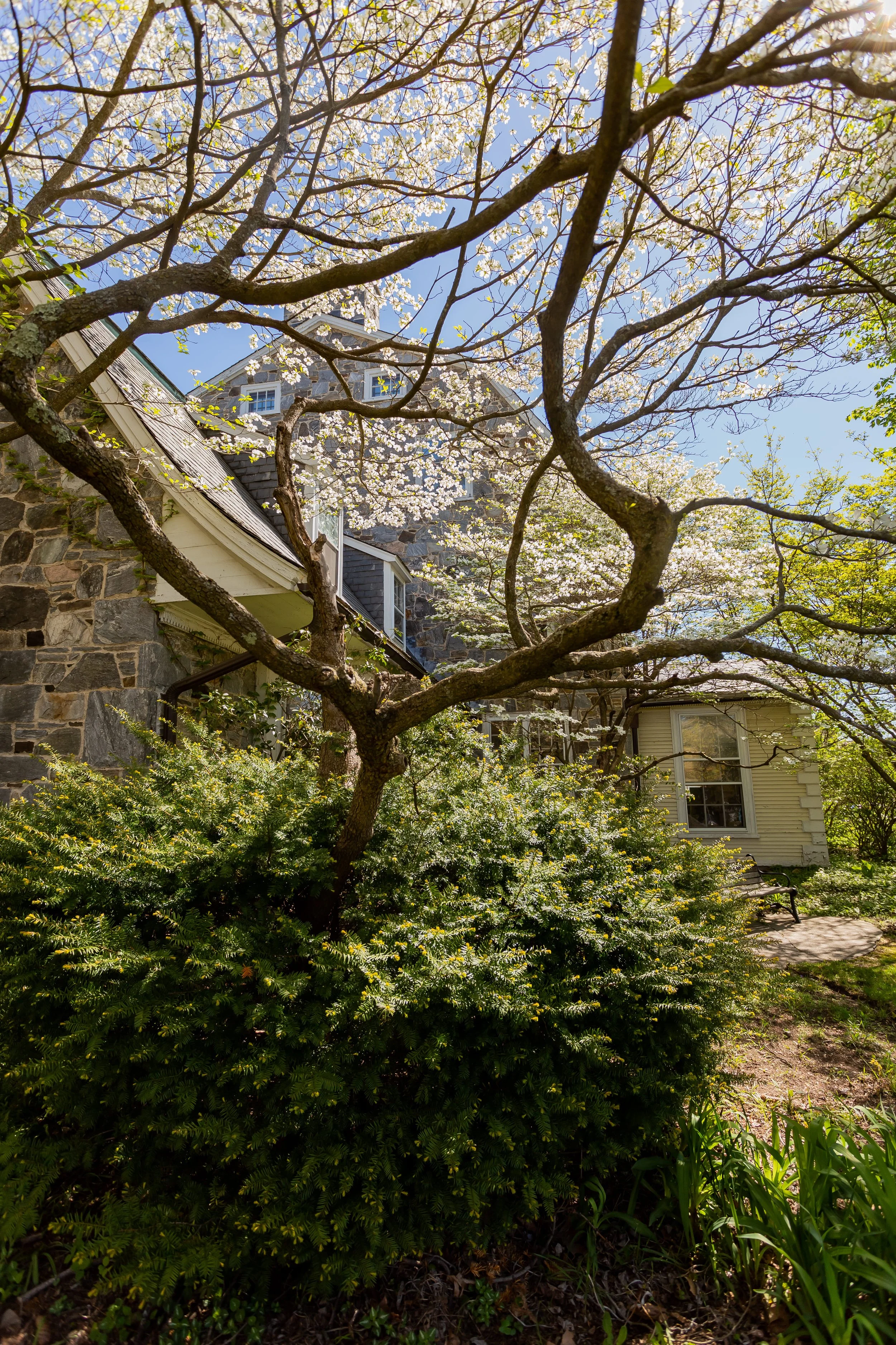 Jones Library — Amherst Business Improvement District