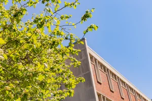 Robert Frost Library — Amherst Business Improvement District