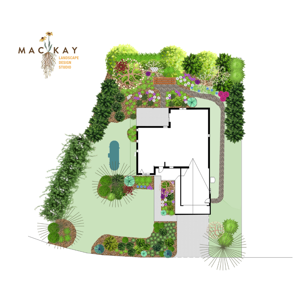 Rosslyn MacKay- MacKay Landscape Design Studio