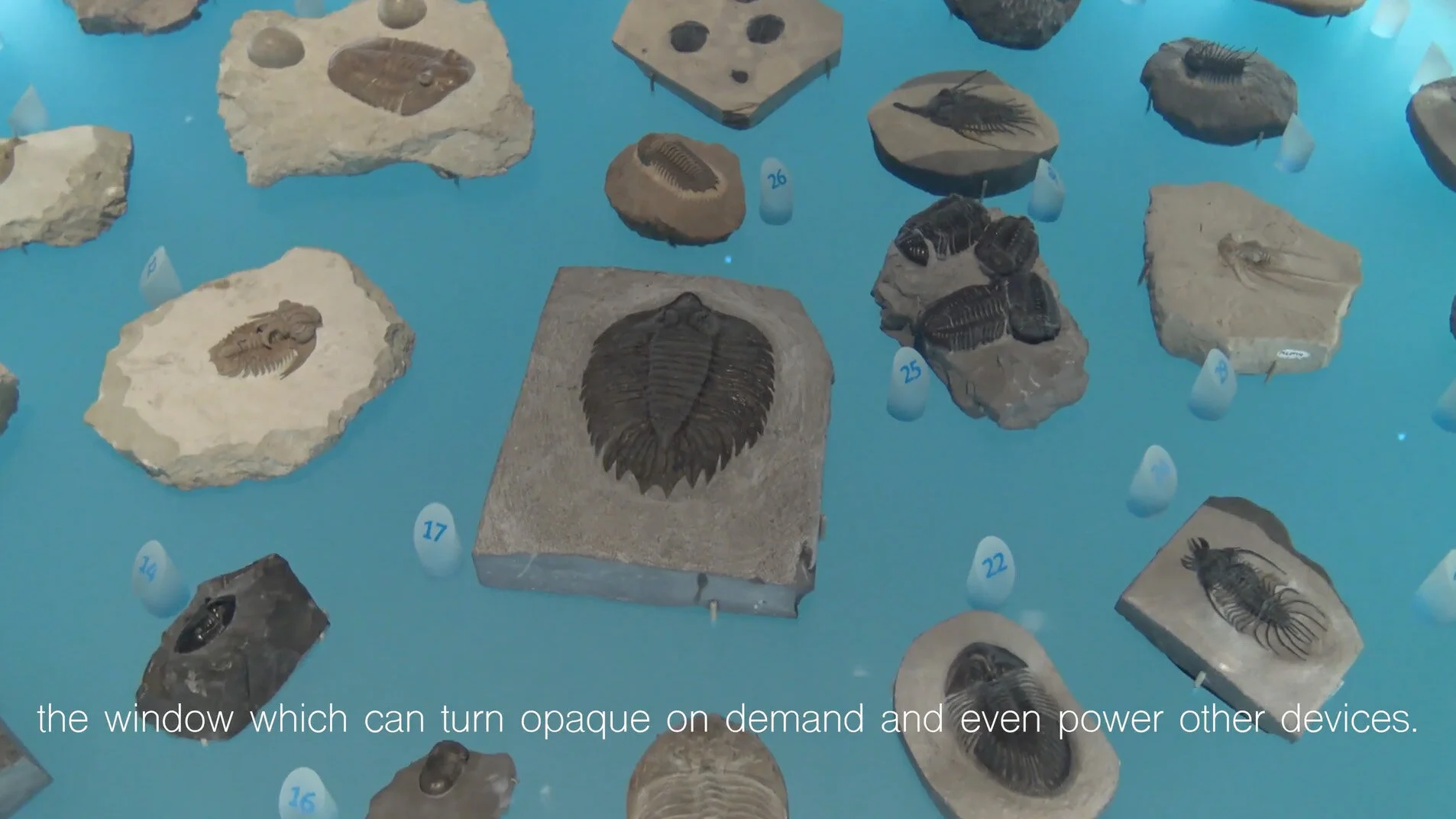 Amanda Rice | Amanda Rice Filmmaker