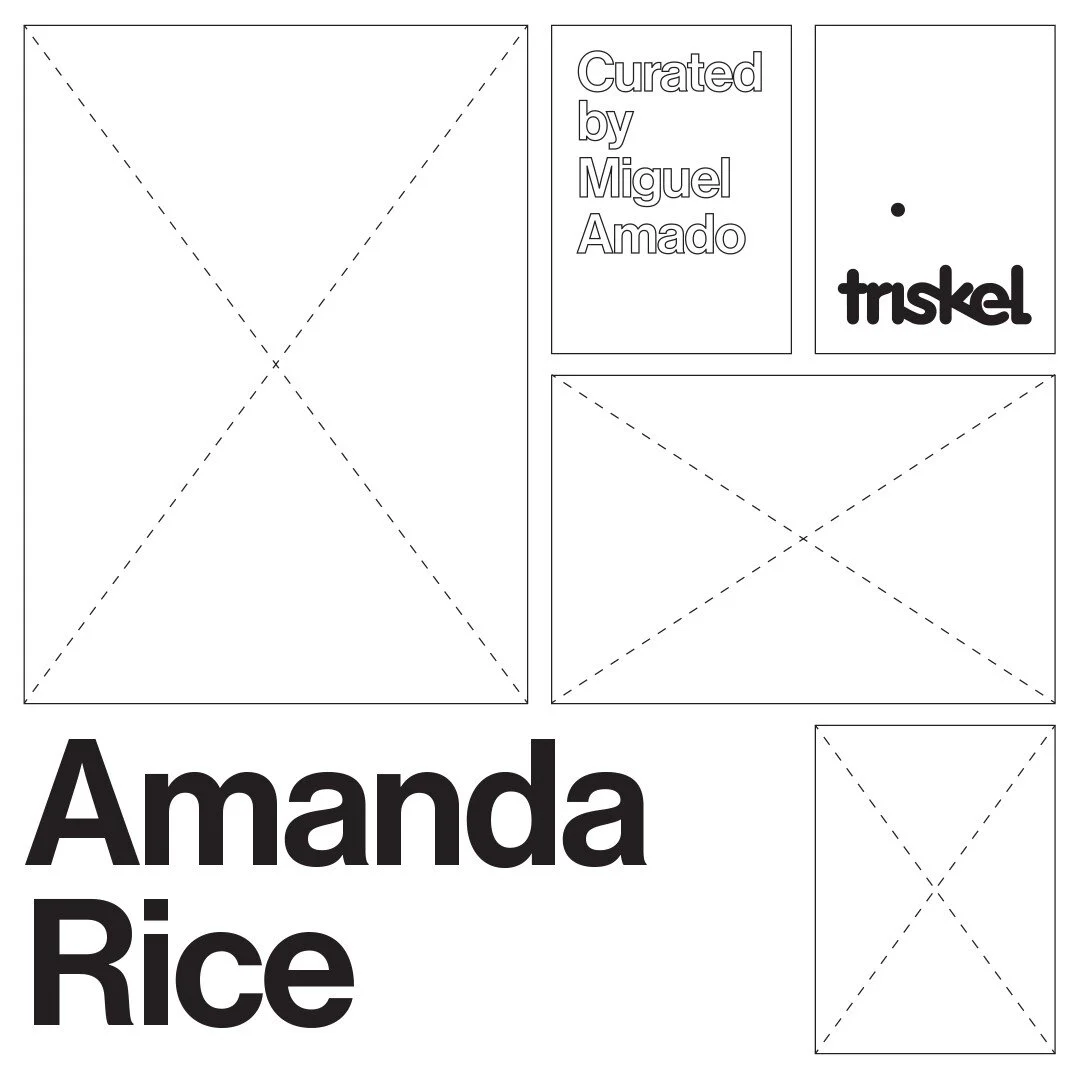 Material and Immaterial Worlds: Amanda Rice at the Triskel Arts Centre ...