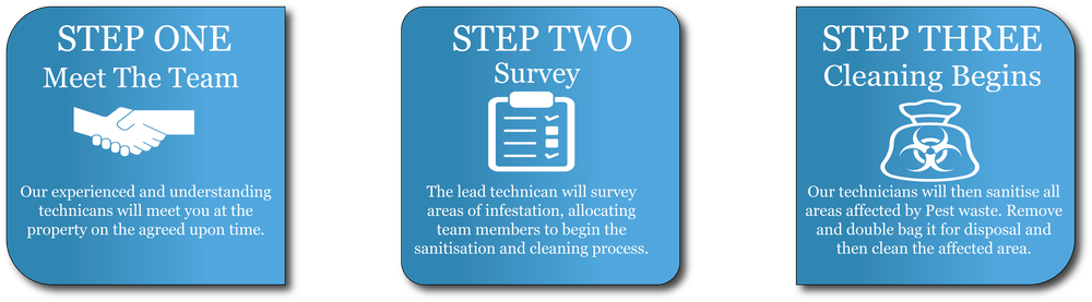 After Rodent Clean Up