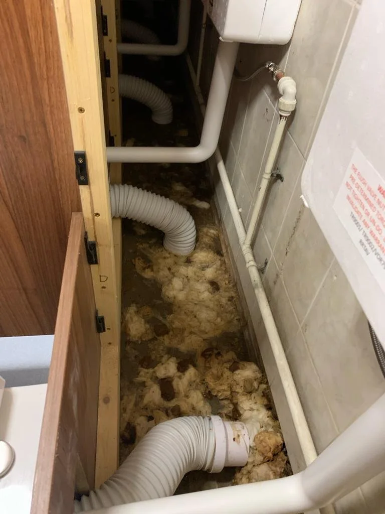 Sewage Cleaning Service - Emergency Cleaning - 24/7 Service
