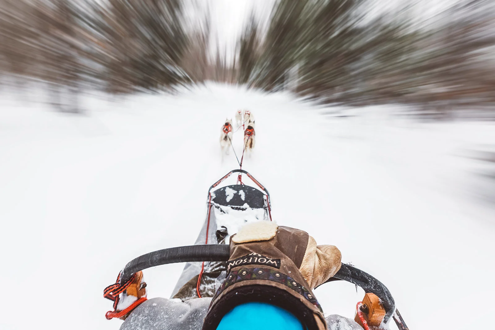 Kat Carney Photography