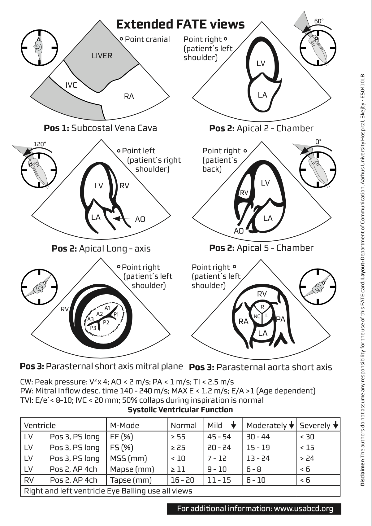 Echo & Shock — POCUS UK