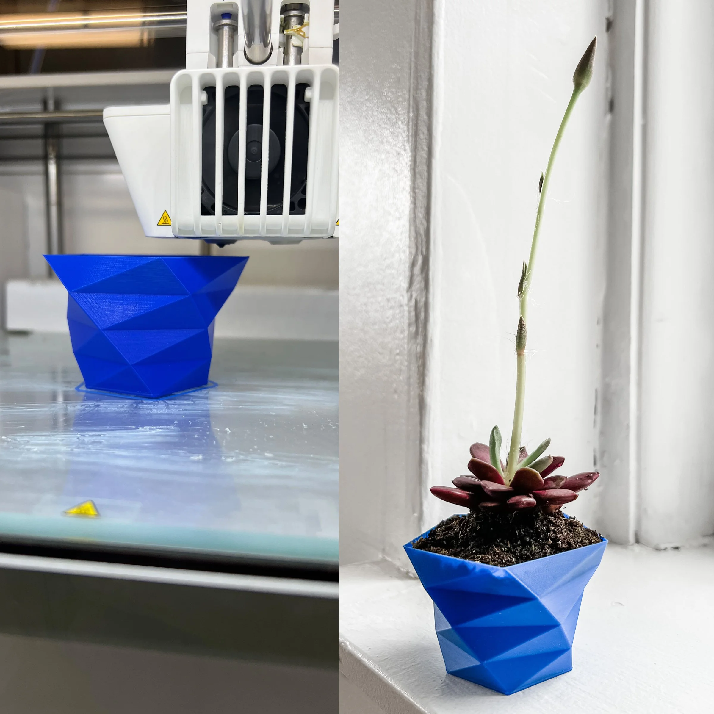 The Strand Center for the Arts