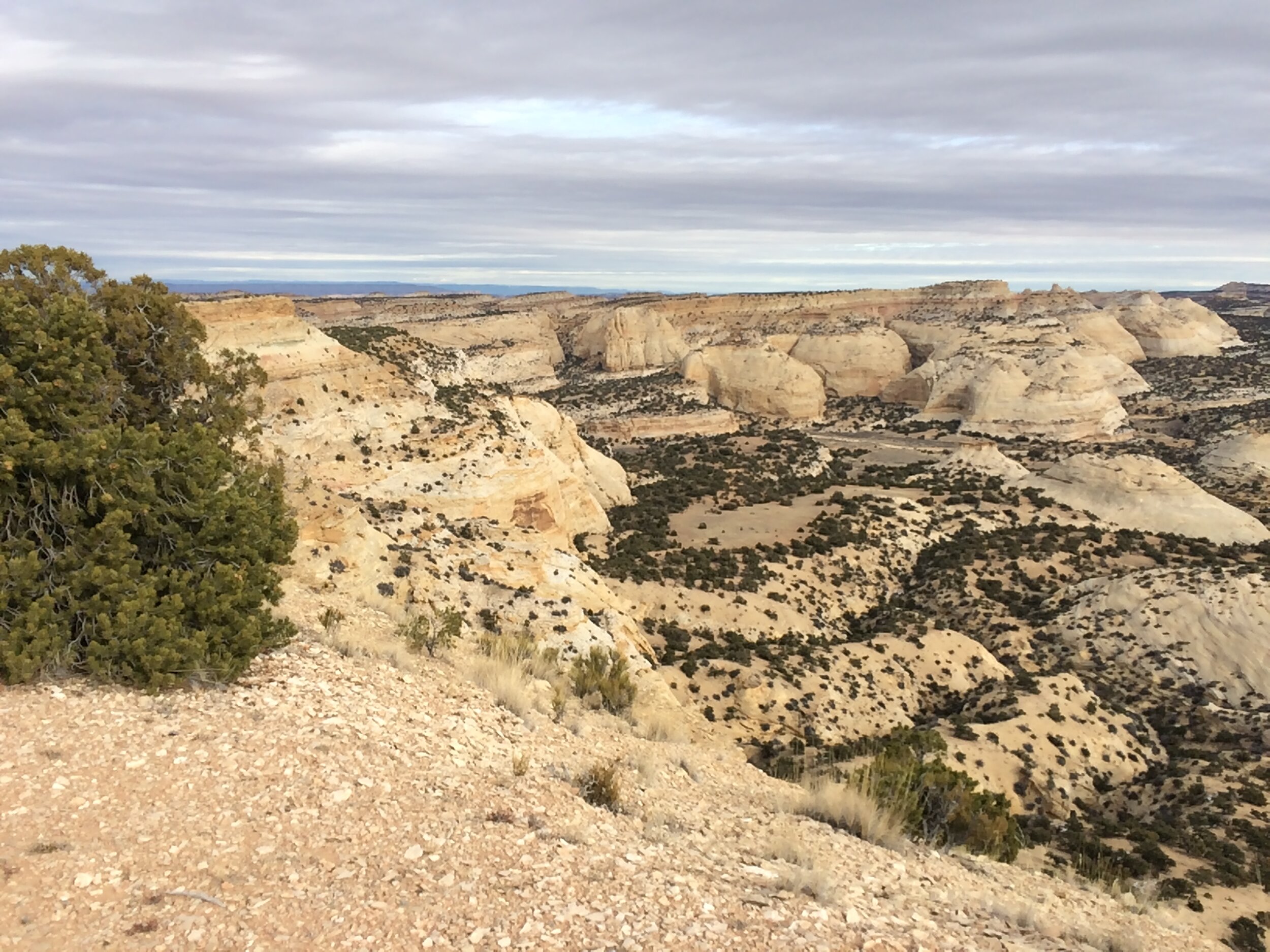 Meet the Team: Brian Amos — Watson Engineering Inc