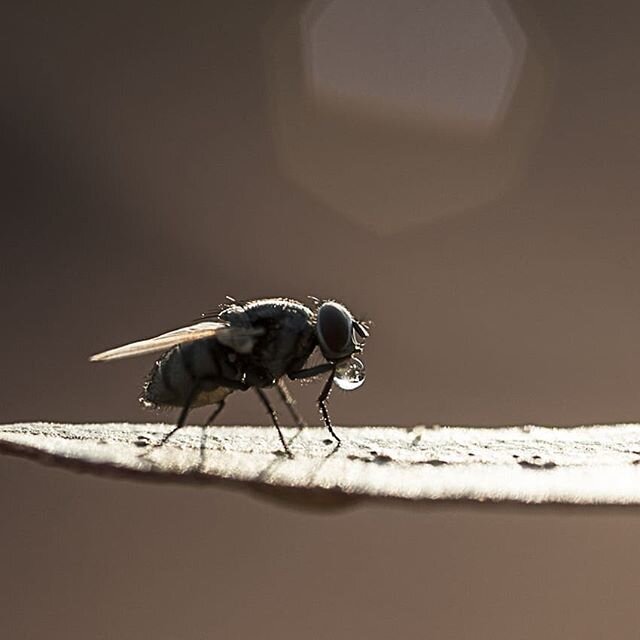 Eyefood - Photography - Educational institutions advertising photography